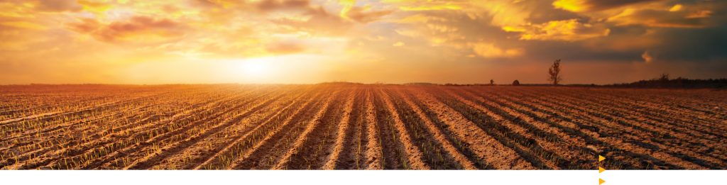 Ag Innovation Leaders Explore New Ways to Expand Digital Frontiers of ...